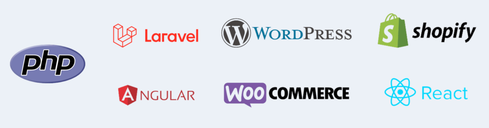 Best Web Design and Development Company in Shimla - Netgen